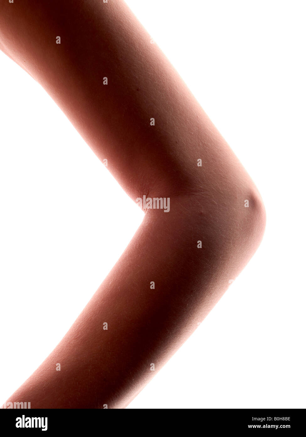 Woman, arm, elbow Stock Photo - Alamy