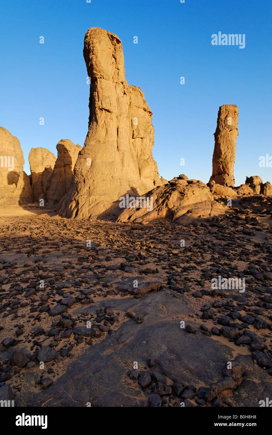 Cylindrical shapes hi-res stock photography and images - Alamy