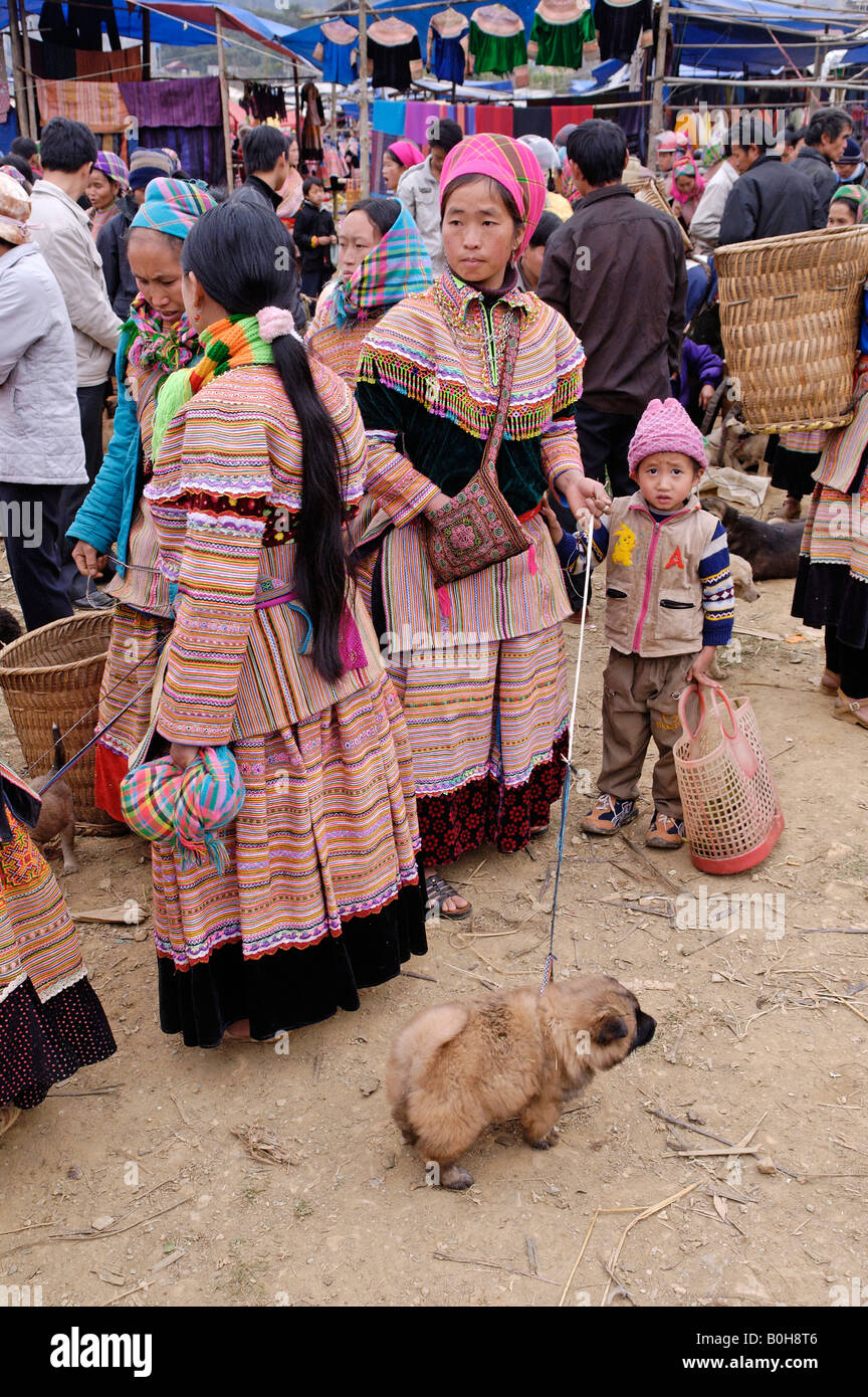 Vietnamese dogs hi-res stock photography and images - Alamy
