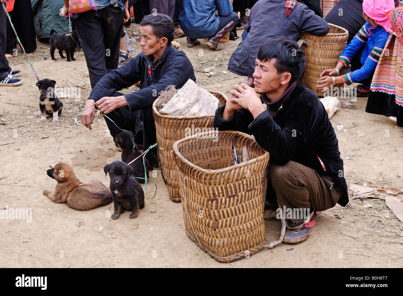 Bac Ha animal market, Ha Giang Province, northern Vietnam, Southeast ...