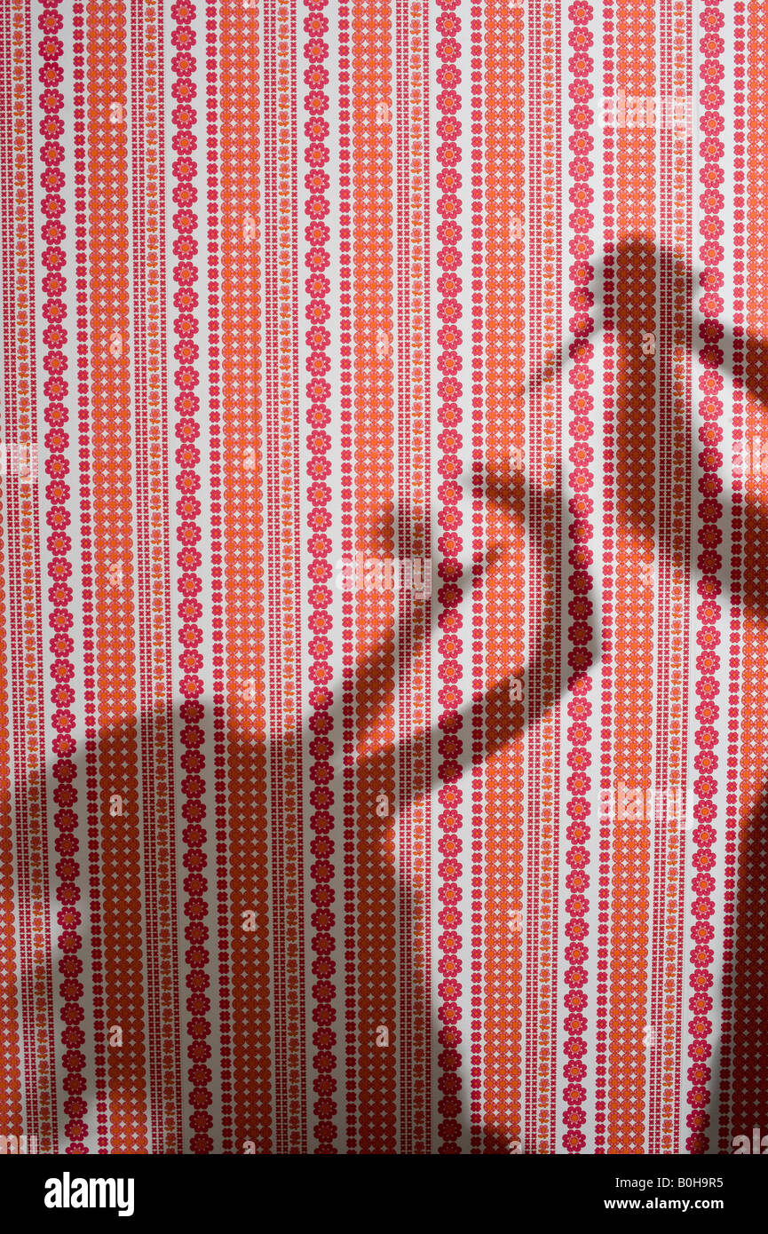 Shadow on wallpaper, fighting people, violent scene, stabbing Stock ...