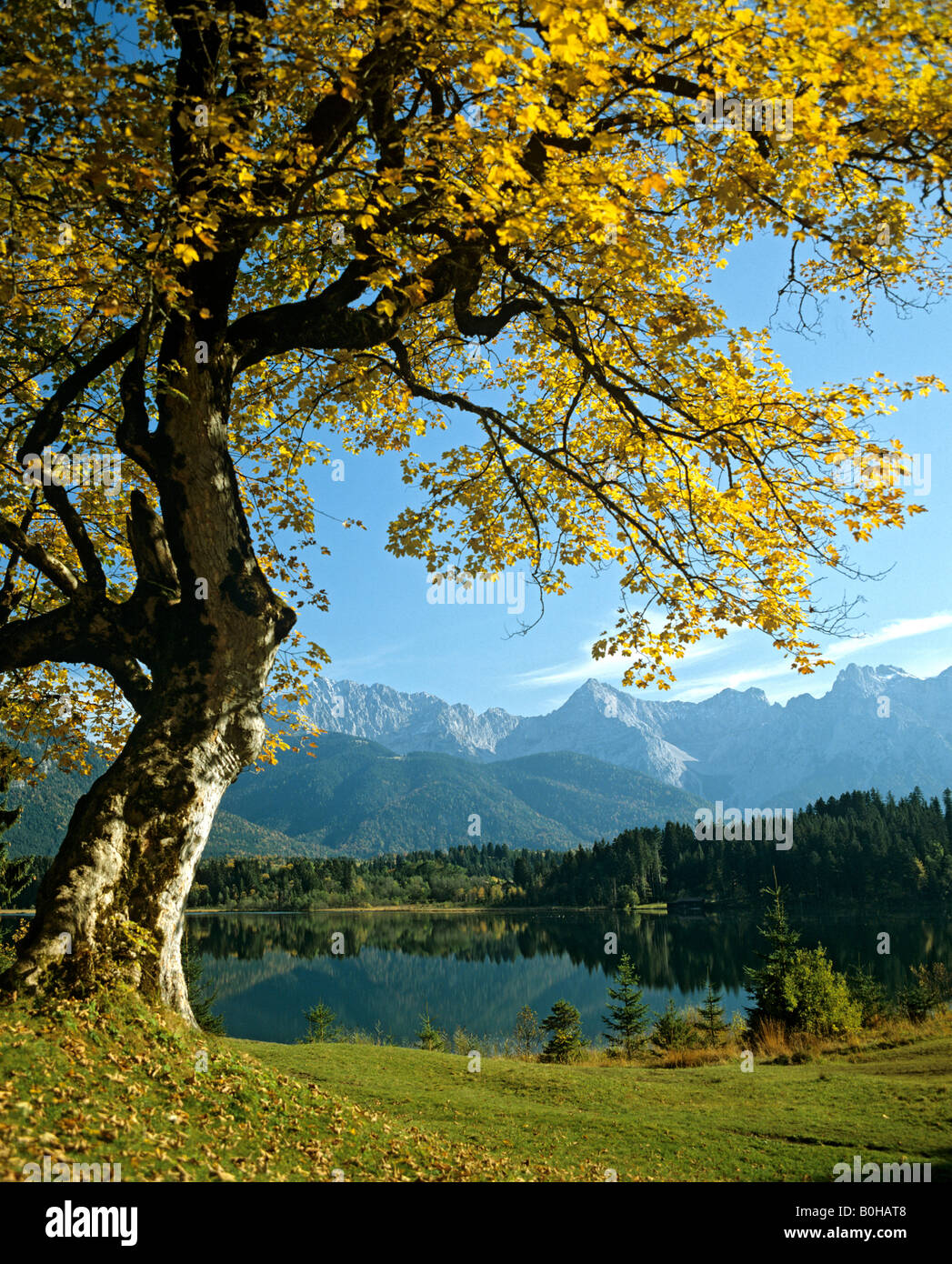 Herbstliche laubbaeume hi-res stock photography and images - Alamy