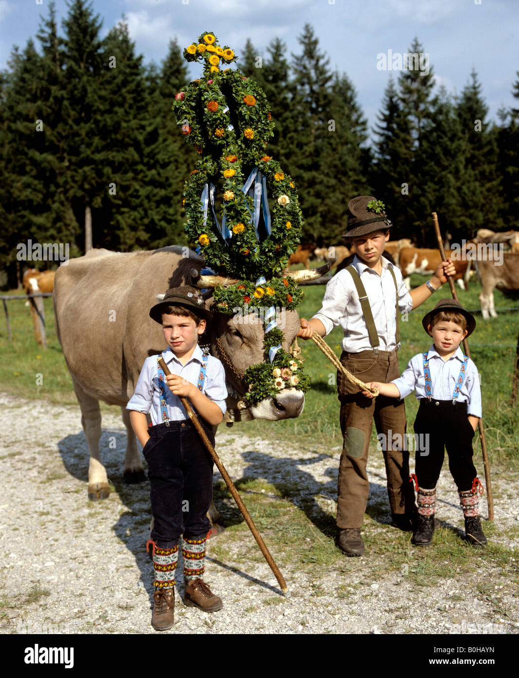 Alpine costumes hi-res stock photography and images - Alamy