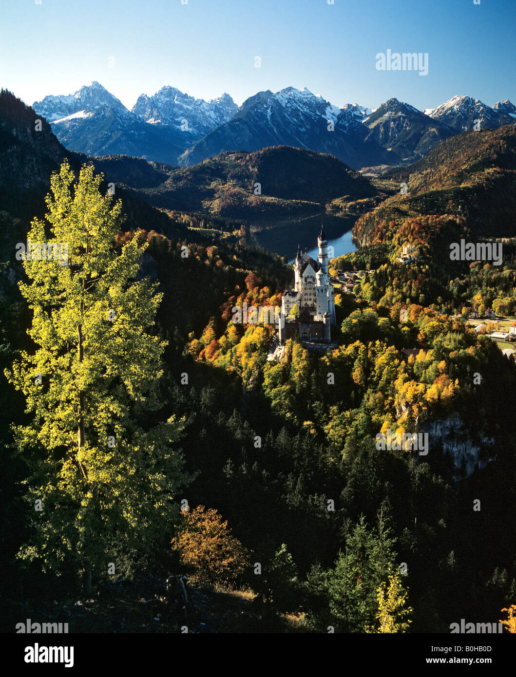 Neuschwanstein Castle, panoramic view in autumn, Alpsee, Allgaeu Alps ...