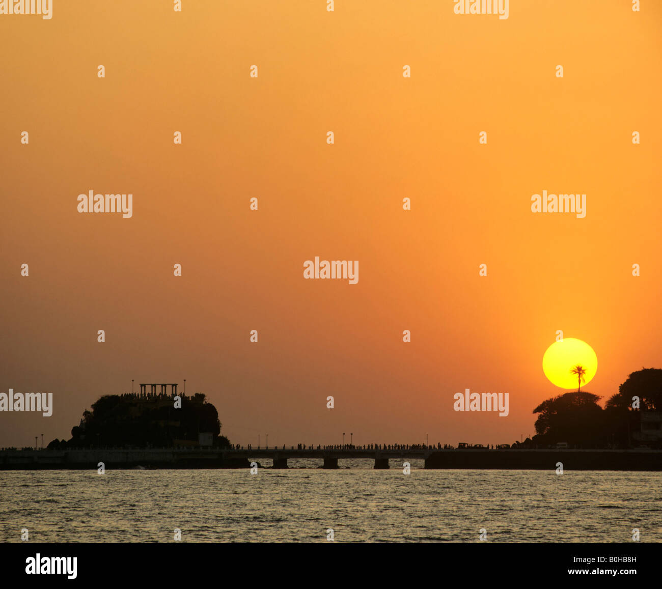 Goa tree hi-res stock photography and images - Alamy