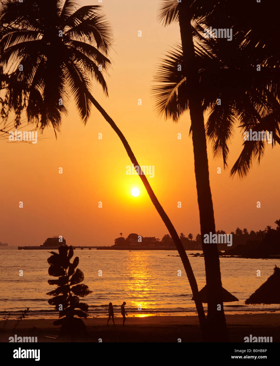 Palm trees and sunset, Goa, India Stock Photo - Alamy