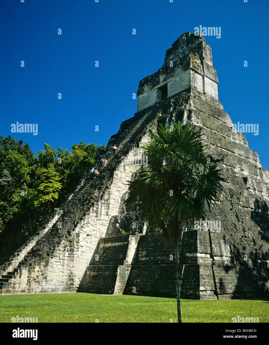Temple ruins of Tikal, Maya pyramid, Guatemala, Guatemala, Central ...