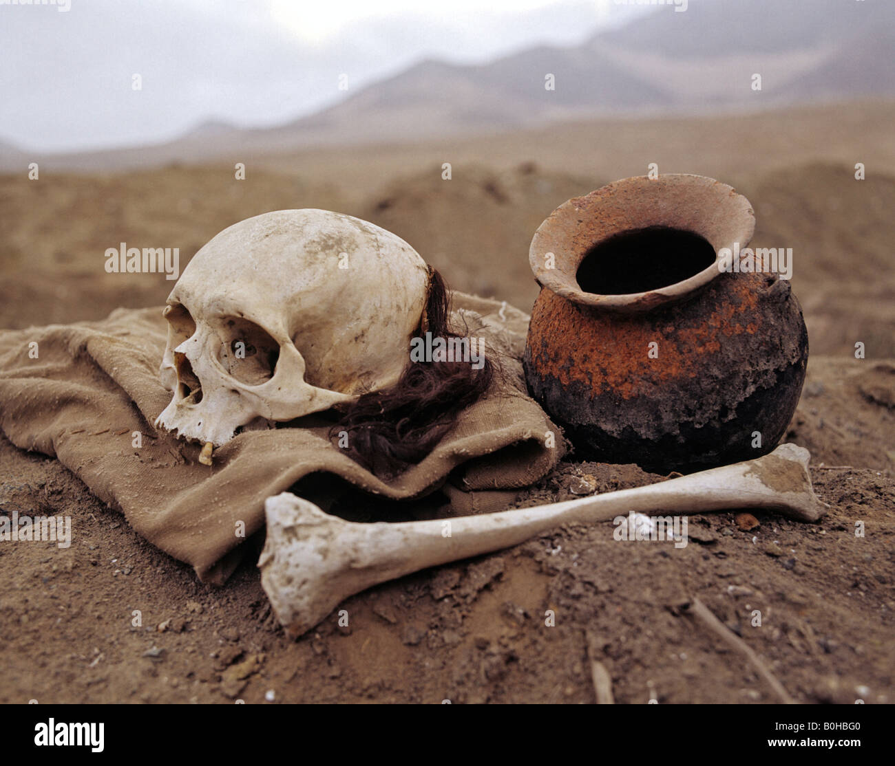 Skull bones archaeological site hi-res stock photography and images - Alamy