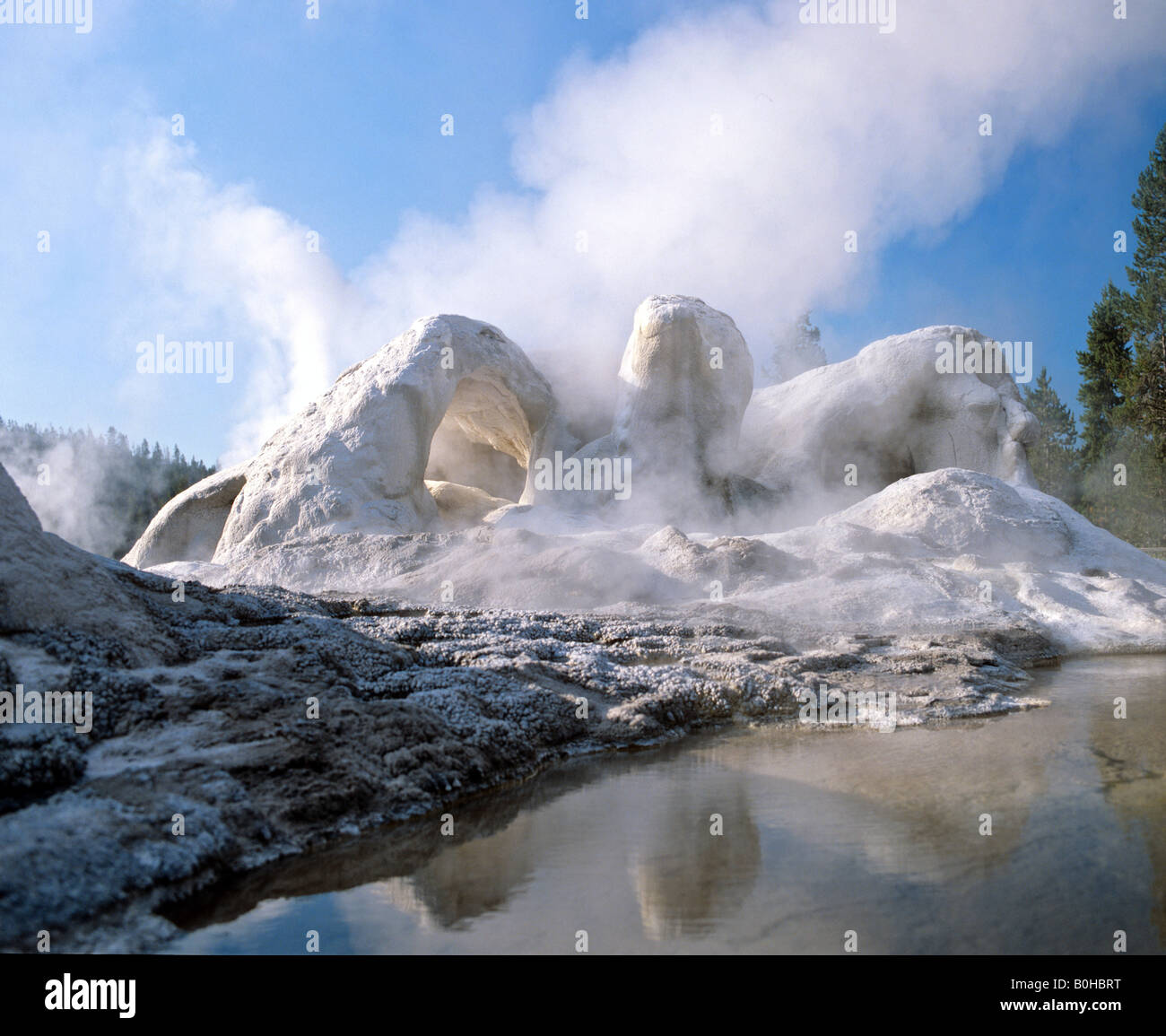 Grotto Geyser, Upper Geyser Basin, Yellowstone National Park, Wyoming ...
