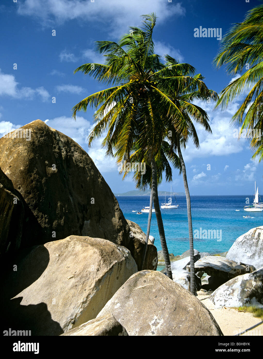 Palm trees shape hi-res stock photography and images - Alamy