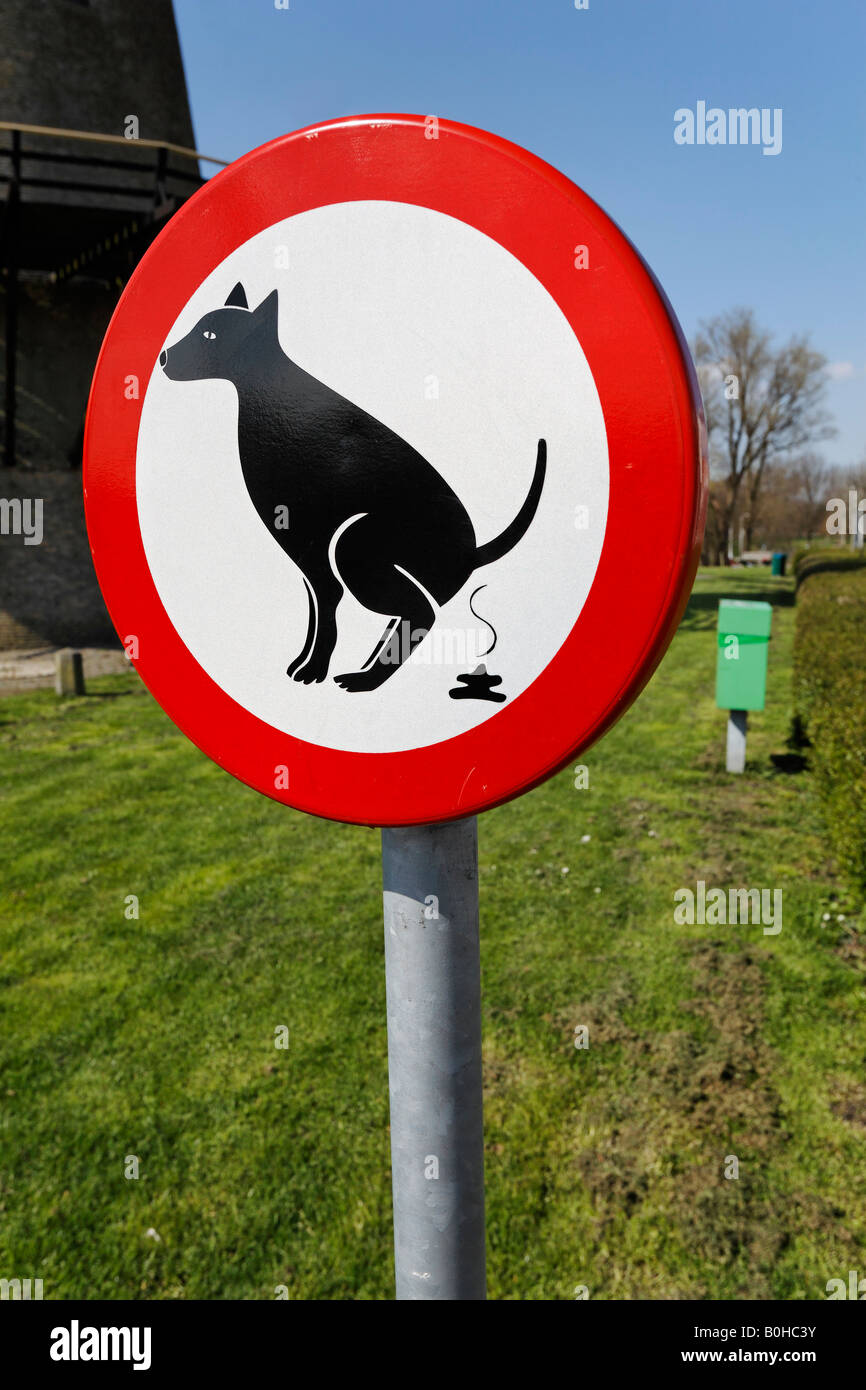 Defecate hi-res stock photography and images - Alamy