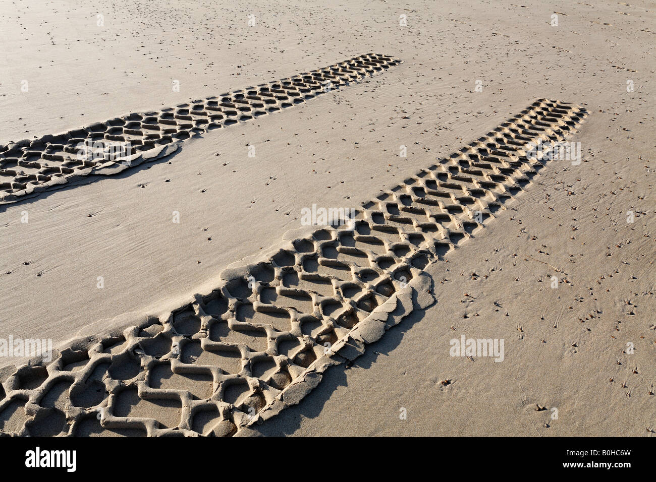 AWD vehicle tire tracks coming to a stop in the sand, beach on the ...