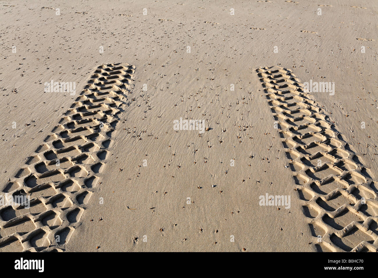 AWD vehicle tire tracks coming to a stop in the sand, beach on the ...