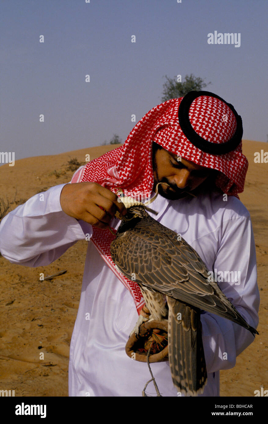 Hawk Mask High Resolution Stock Photography and Images - Alamy