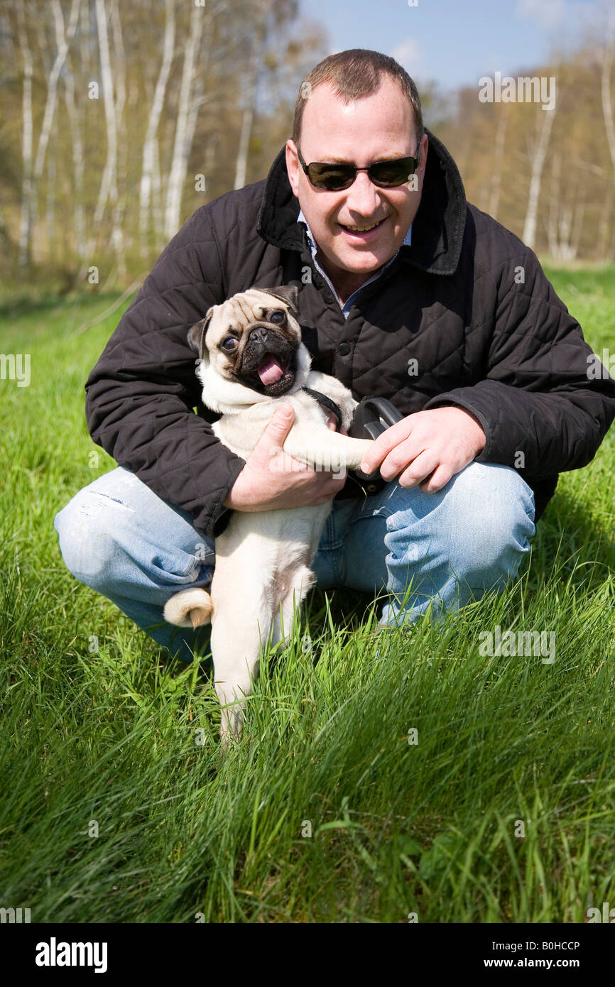 Portrait of a man and a pug in a meadow Stock Photo - Alamy
