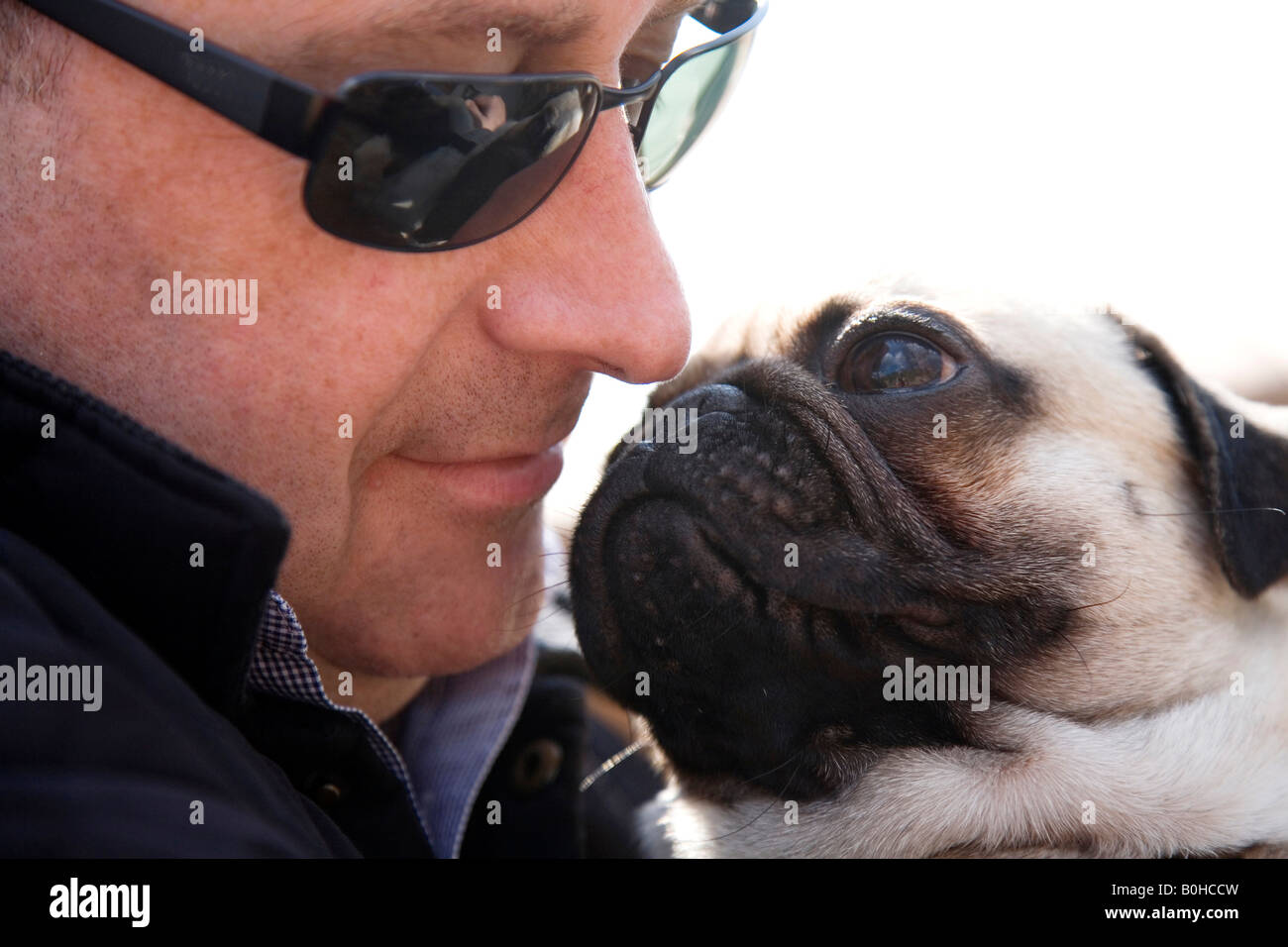 Portrait of a man and a pug looking at each other, nose and snout ...