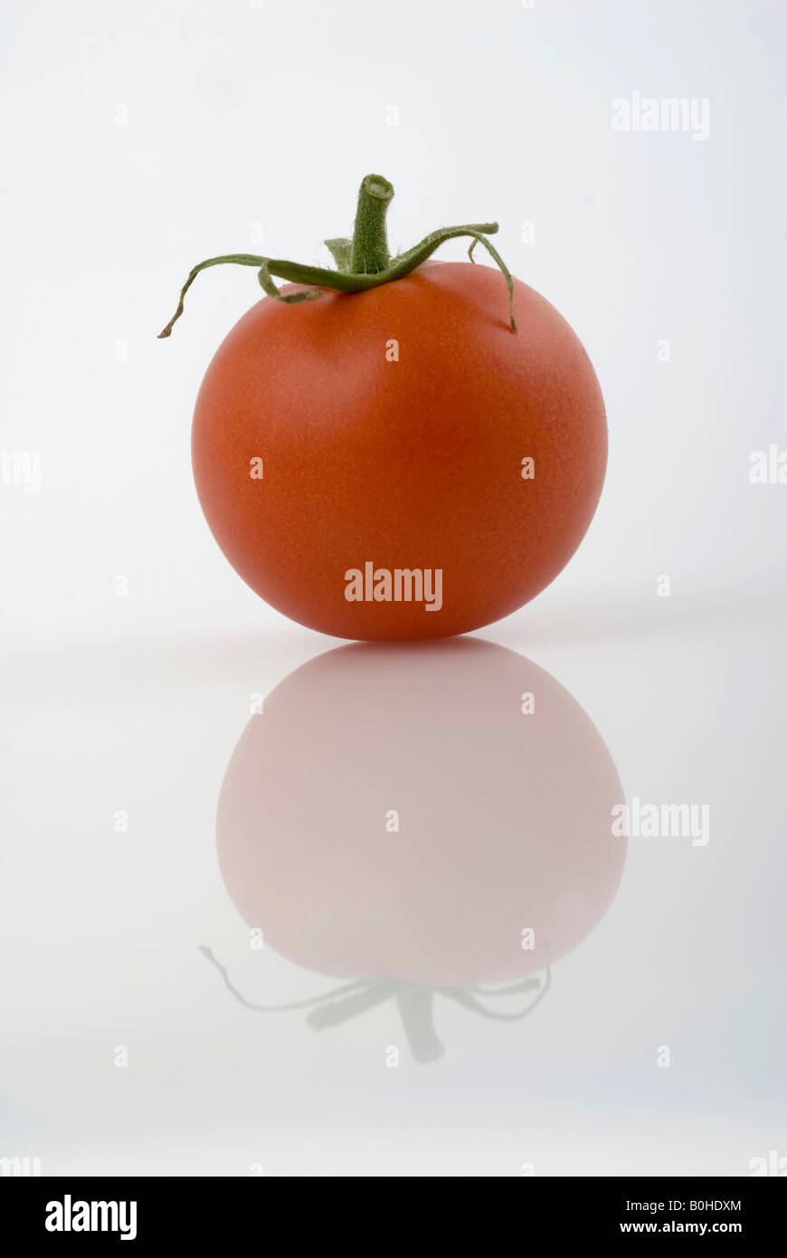 Eine rote tomate hi-res stock photography and images - Alamy