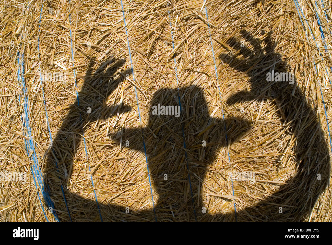 Upraised arms wearing hi-res stock photography and images - Alamy