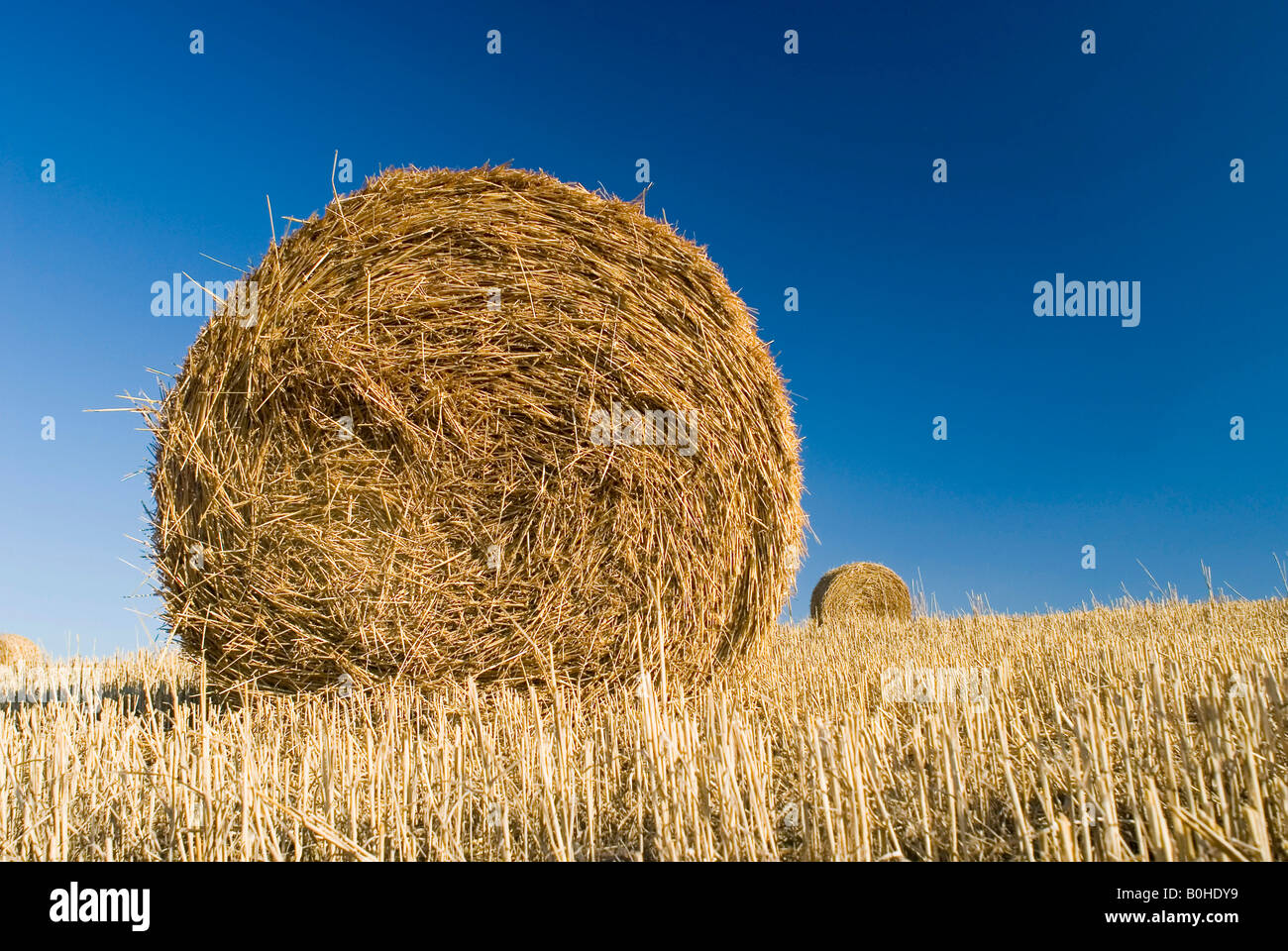 Gepresste rolle hi-res stock photography and images - Alamy