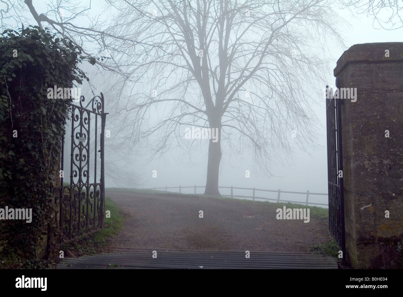 Gated entrance in the fog, mist, Bilbury, Cotswolds, England, UK Stock ...