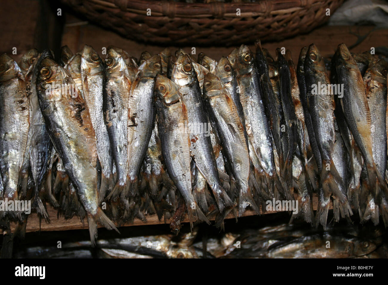 Dried fish sold at a market in Bohol, Guindulman, Philippines Stock ...