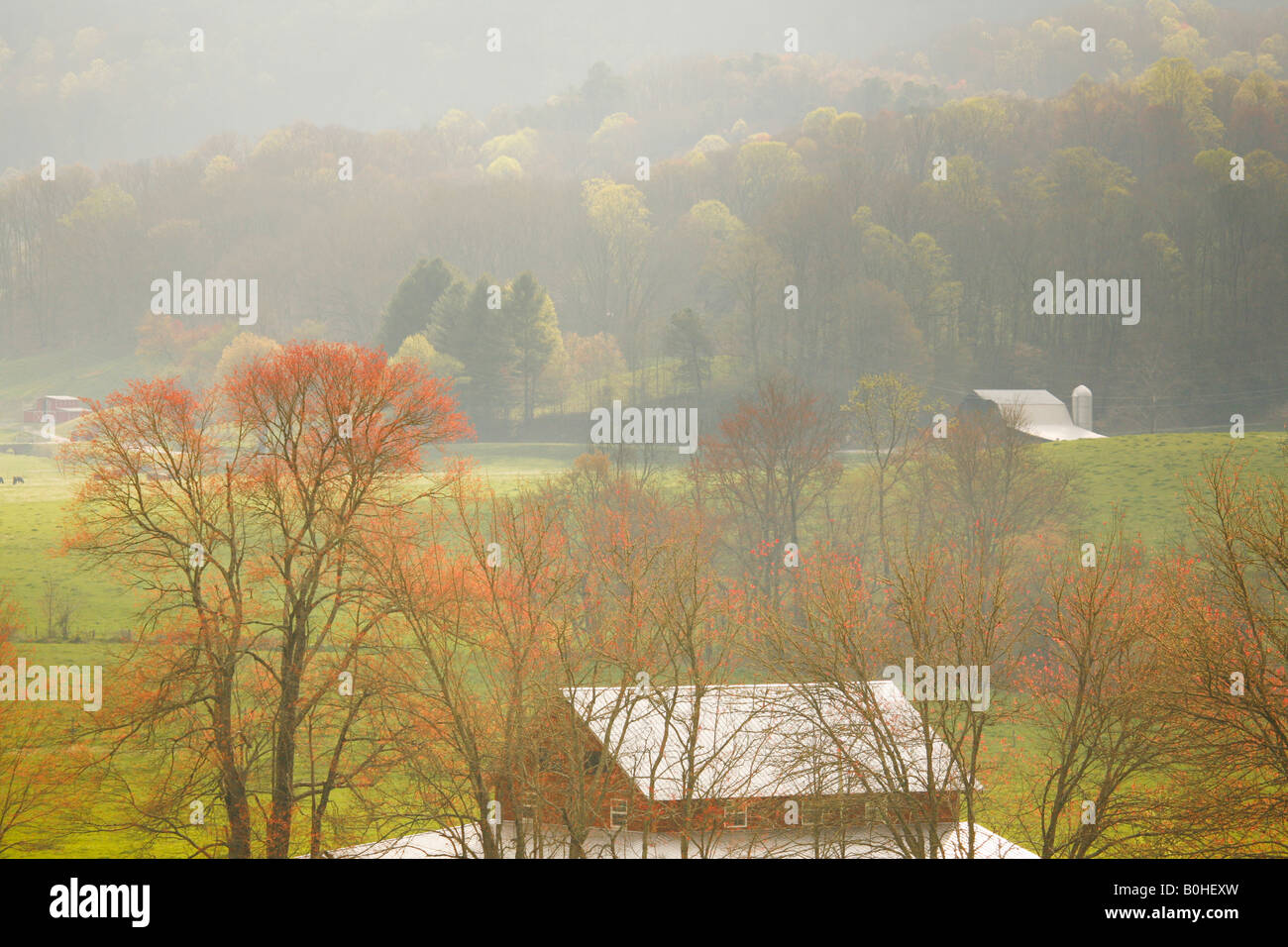 Pastoral spring scene in Western North Carolina near Franklin Stock ...