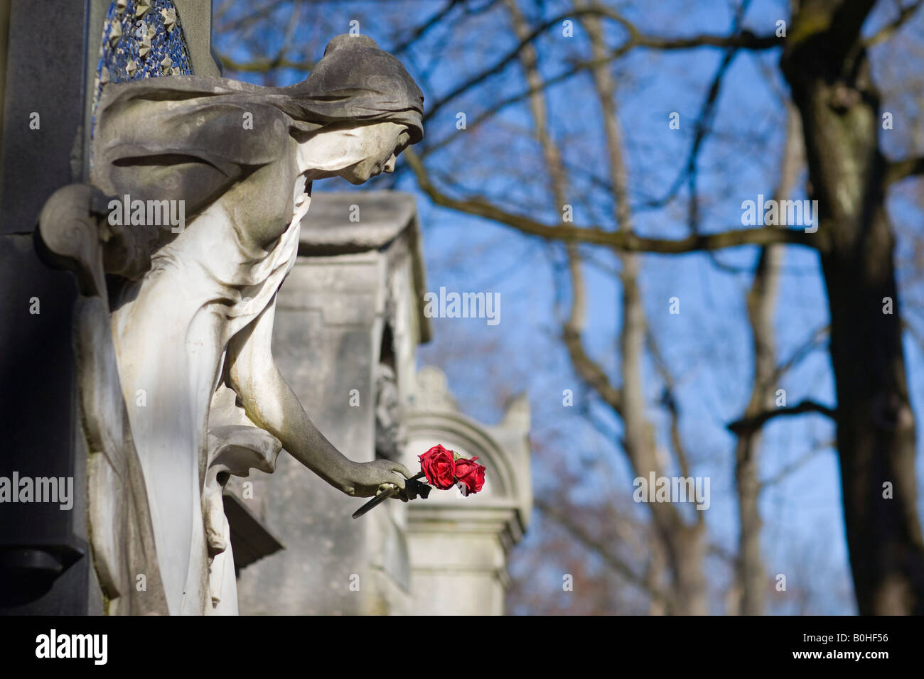 Angel statue holding red rose on a gravestone, Alter Suedfriedhof ...