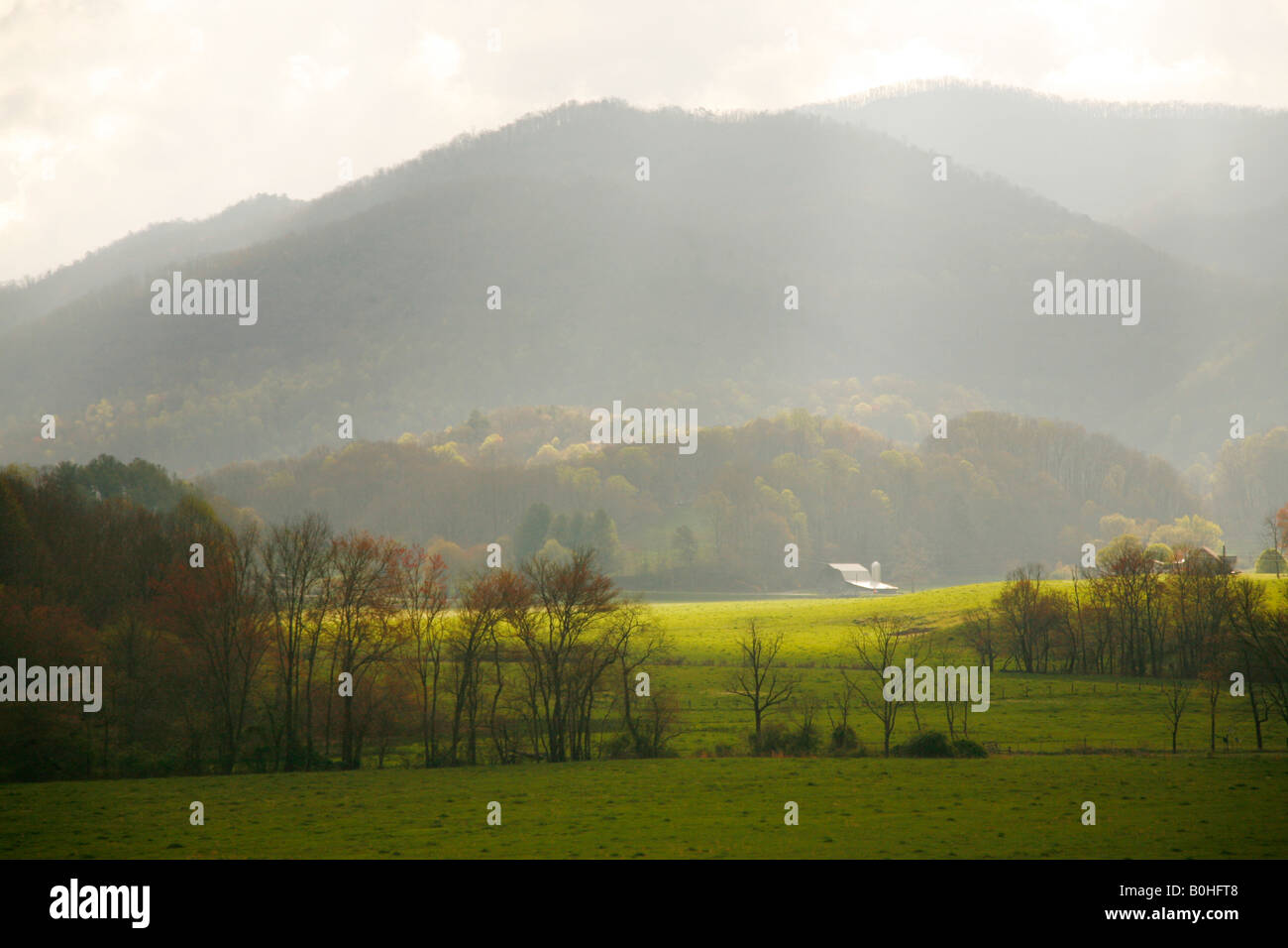 Pastoral spring scene in Western North Carolina near Franklin Stock ...