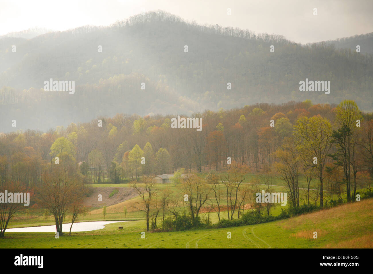 Pastoral spring scene in Western North Carolina near Franklin Stock ...