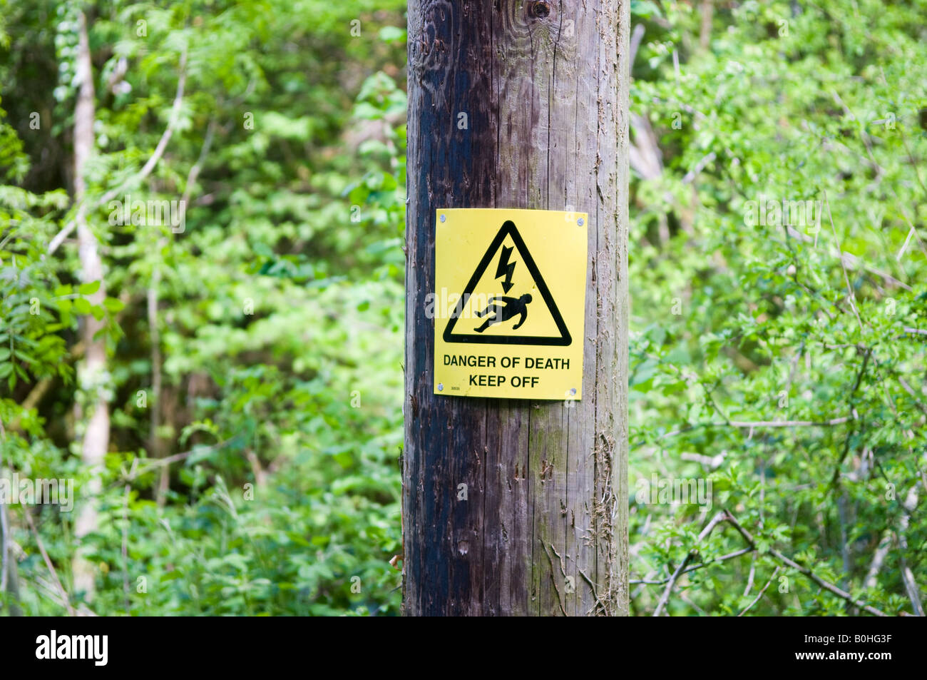 Danger of Death Sign on a Electricity Supply Pole Stock Photo - Alamy