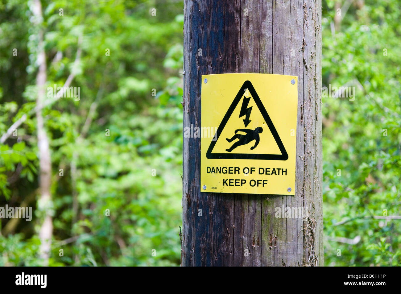 Danger of Death Sign on a Electricity Supply Pole Stock Photo - Alamy
