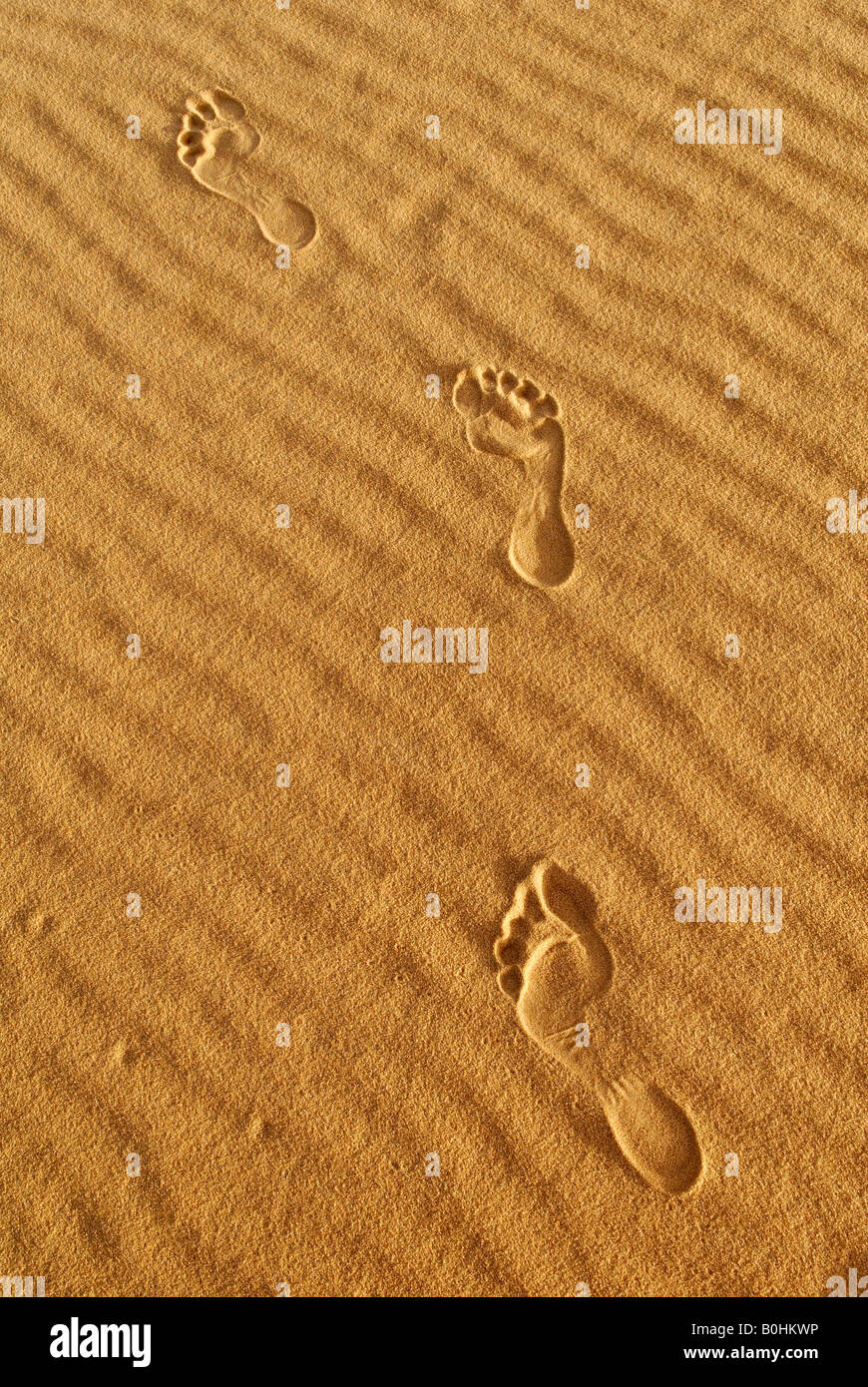 Footprints in the desert sand, ripples, Sahara Desert, Algeria, North ...