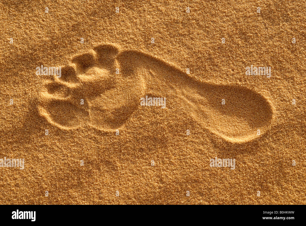 Bare foot footprint in the desert sand, Sahara Desert, Algeria, North ...