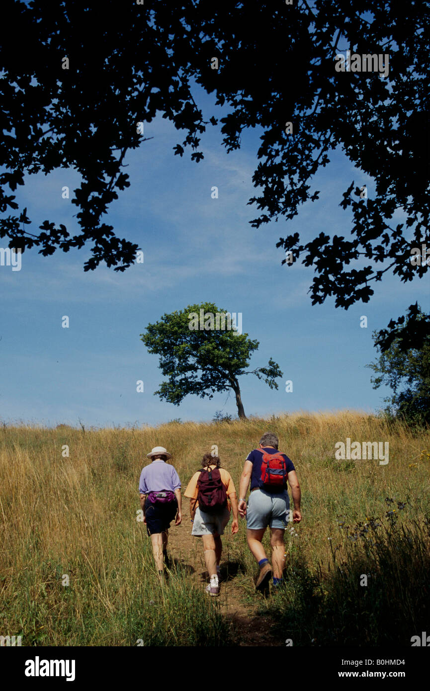 The rambling association hi-res stock photography and images - Alamy