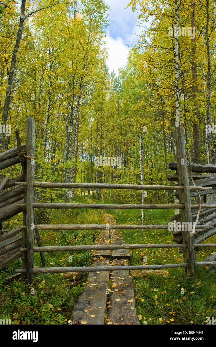 Birch fencing hi-res stock photography and images - Alamy