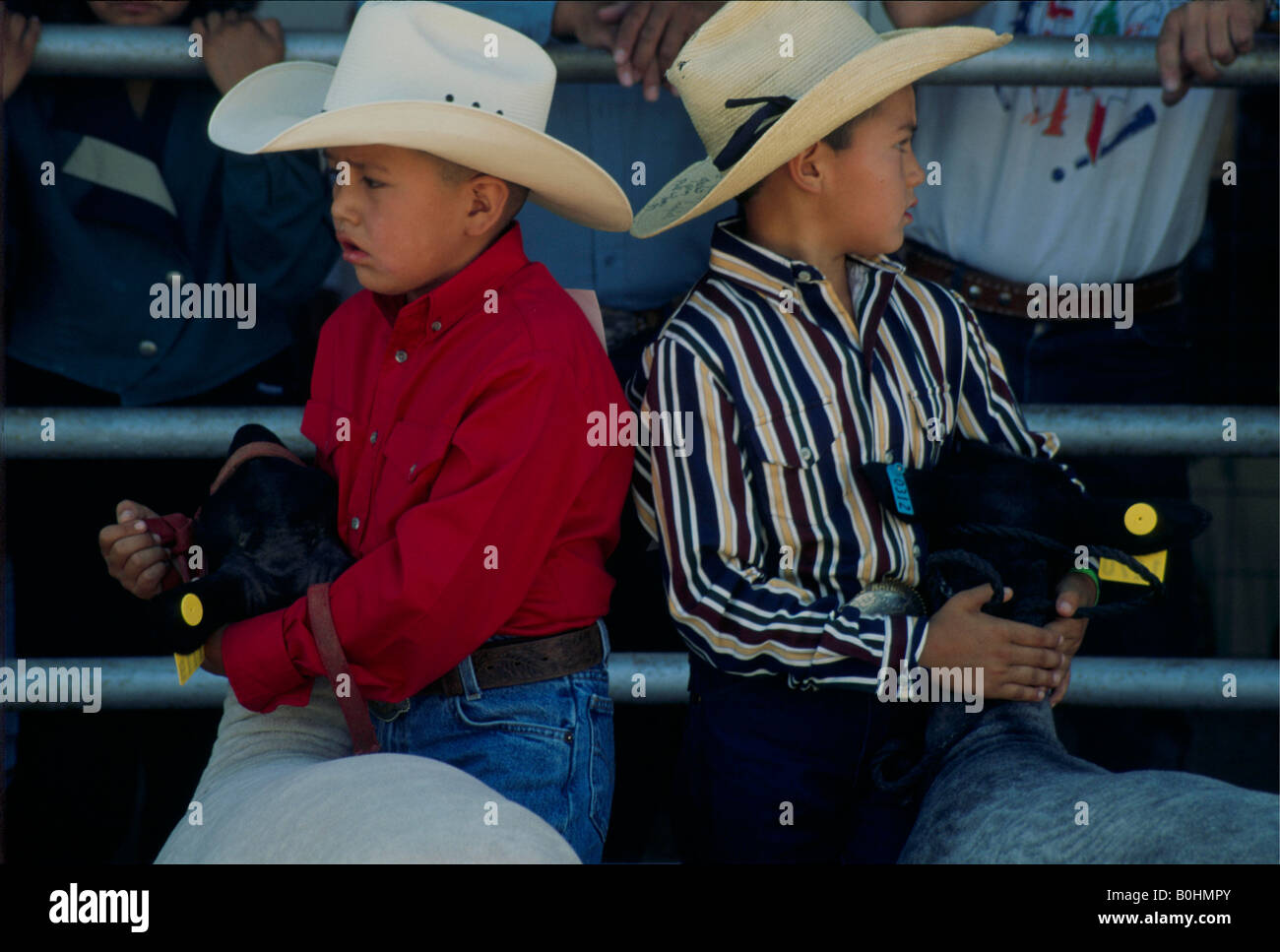 Two young boys dressed as cowboys with sheep at rodeo at Navajo pow-wow ...