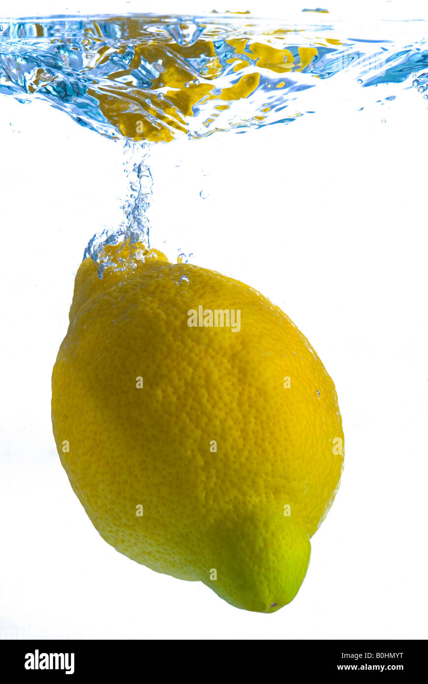 Lemon (Citrus × limon) falling into water Stock Photo - Alamy