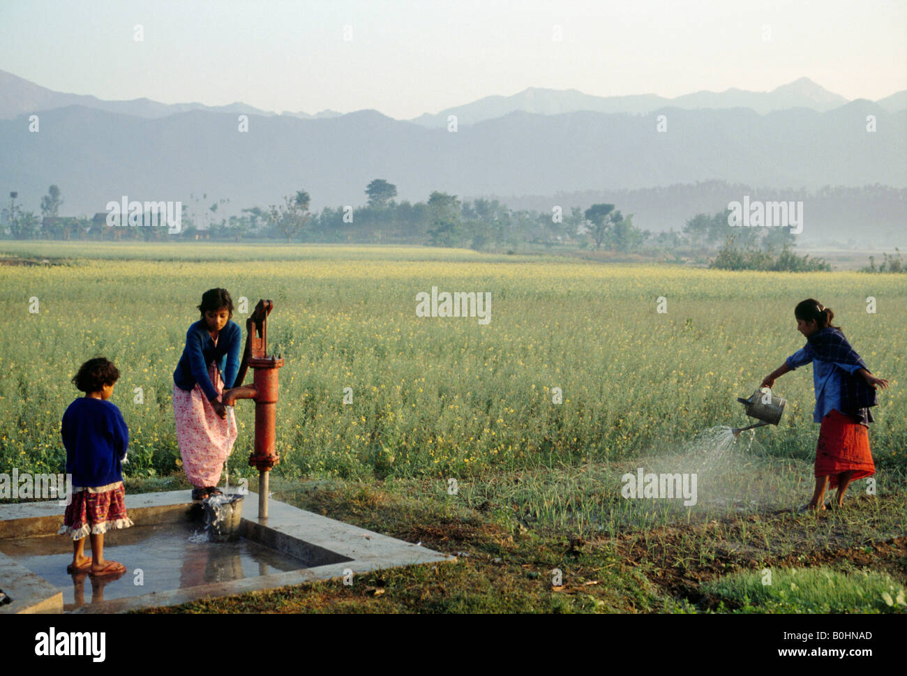 Children at a hand pump to water crops in the countryside, Chainpur ...