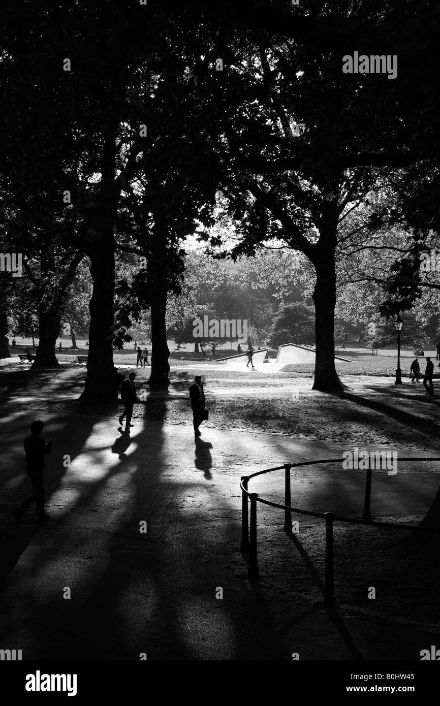 Summer shadows in Green Park, London Stock Photo - Alamy