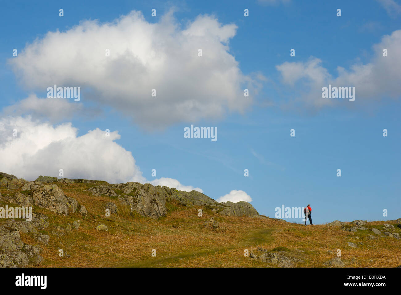 Lake district fell walker hi-res stock photography and images - Alamy