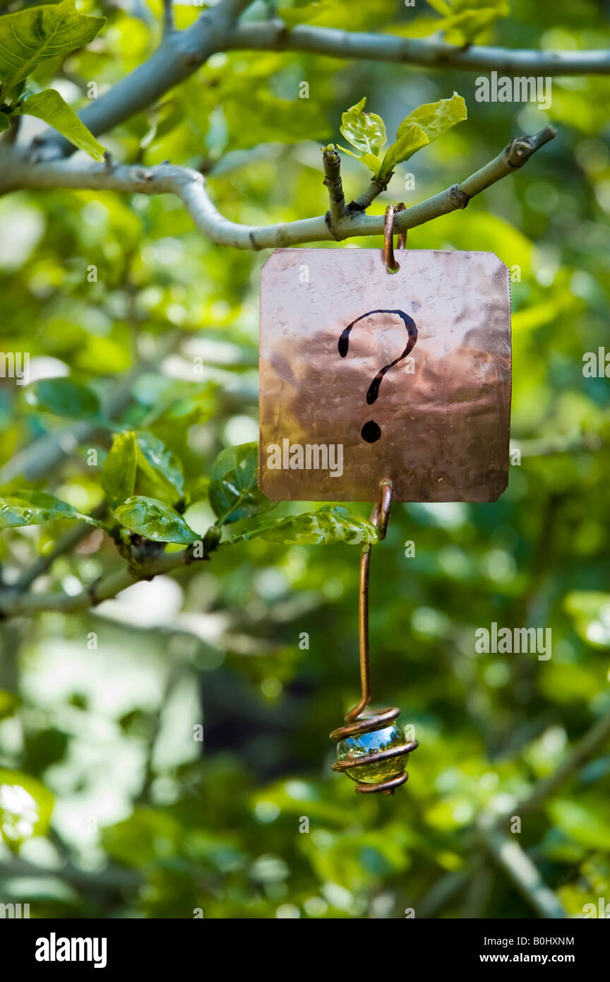 Question mark on copper label What kind of plant is it Stock Photo - Alamy