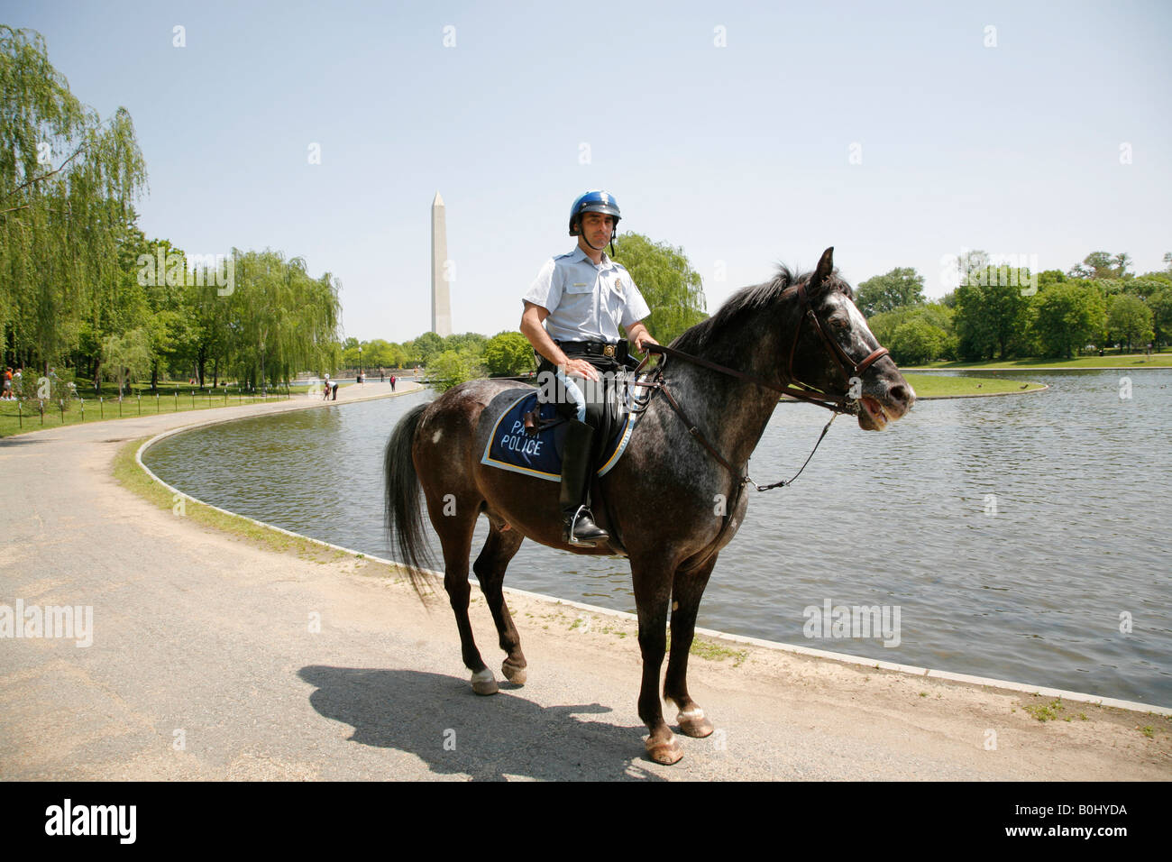 A mounted police officer on duty in Washington DC, USA Stock Photo - Alamy