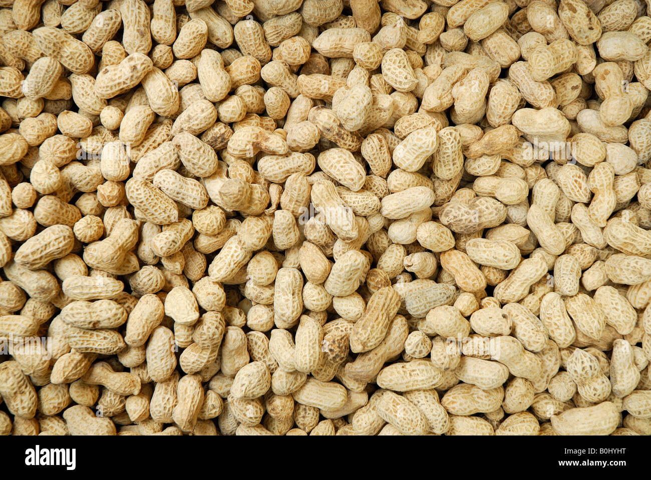 Goober nuts hi-res stock photography and images - Alamy