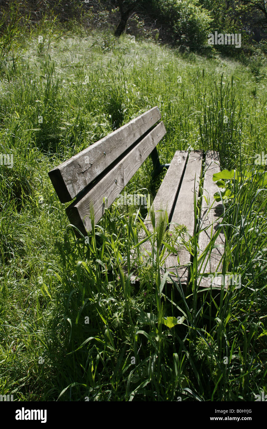 one bench overgrown with long grass in country Stock Photo - Alamy