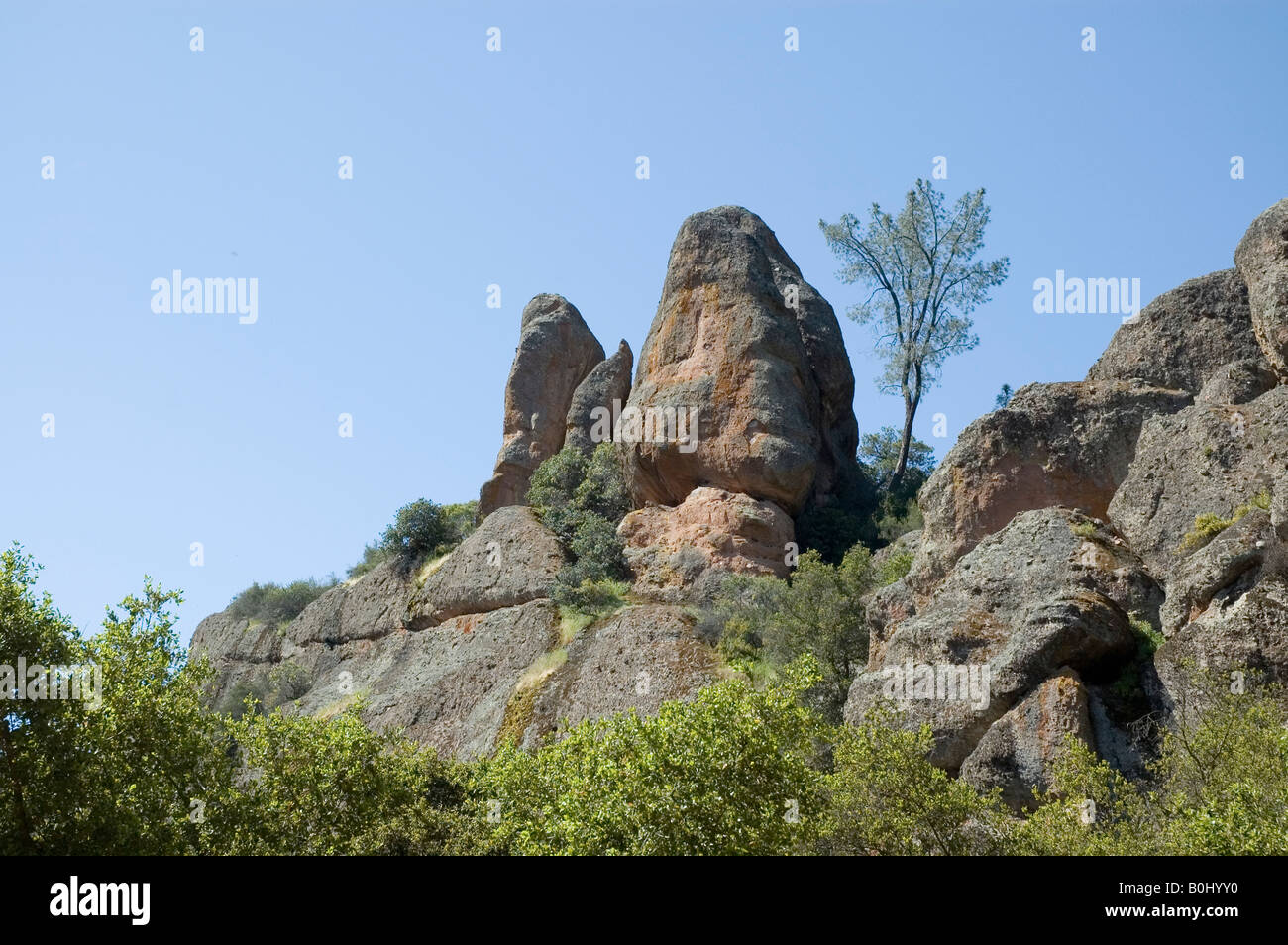 Pinnacles National Monument Stock Photo - Alamy
