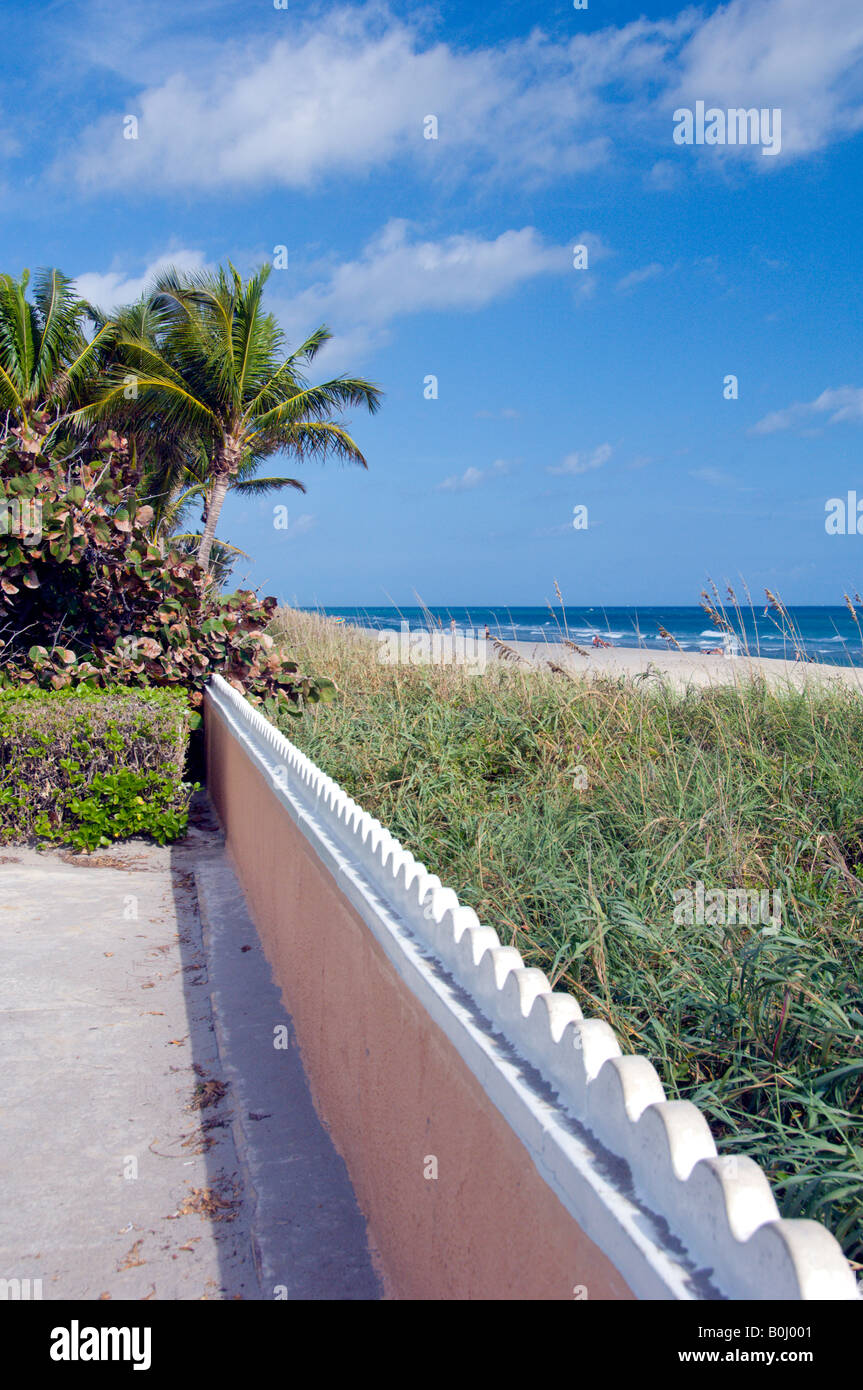 The Palm beach and decorative sea wall Florida USA Stock Photo - Alamy
