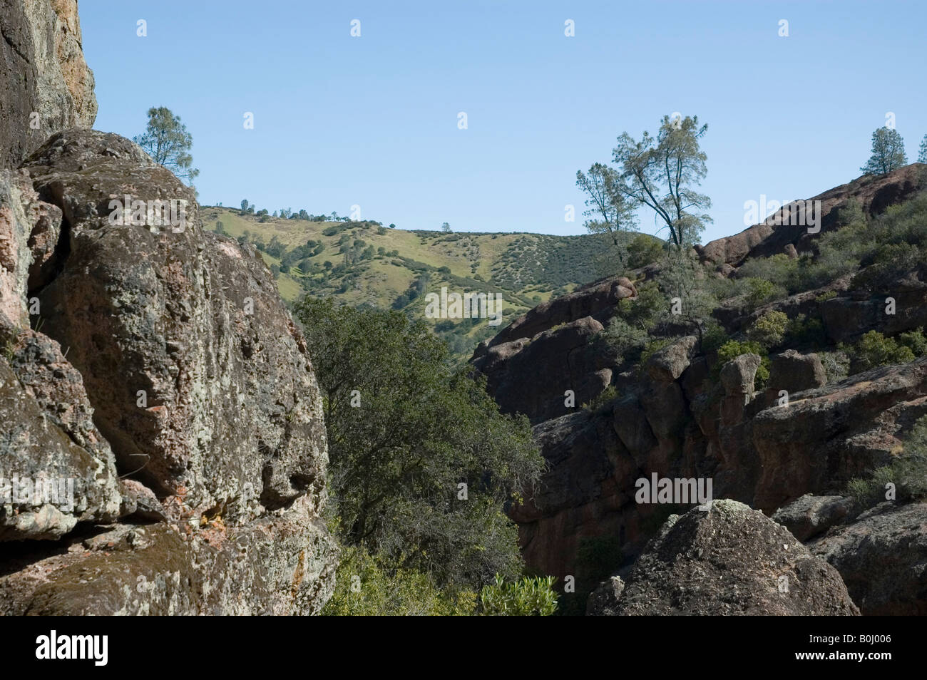 Pinnacles National Monument Stock Photo - Alamy