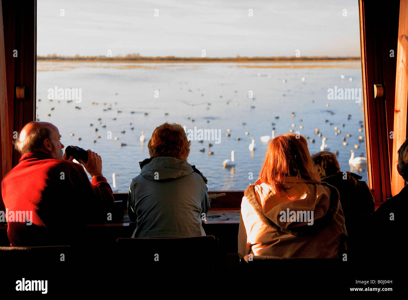 People bird watching in observatory hi-res stock photography and images ...