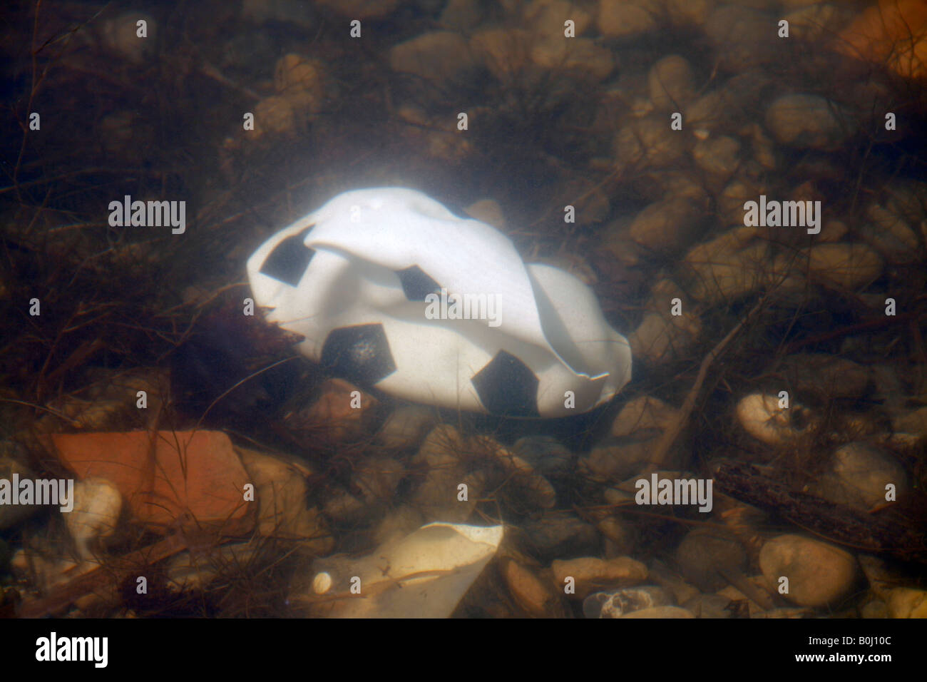 one old damaged football under water in lake Stock Photo - Alamy