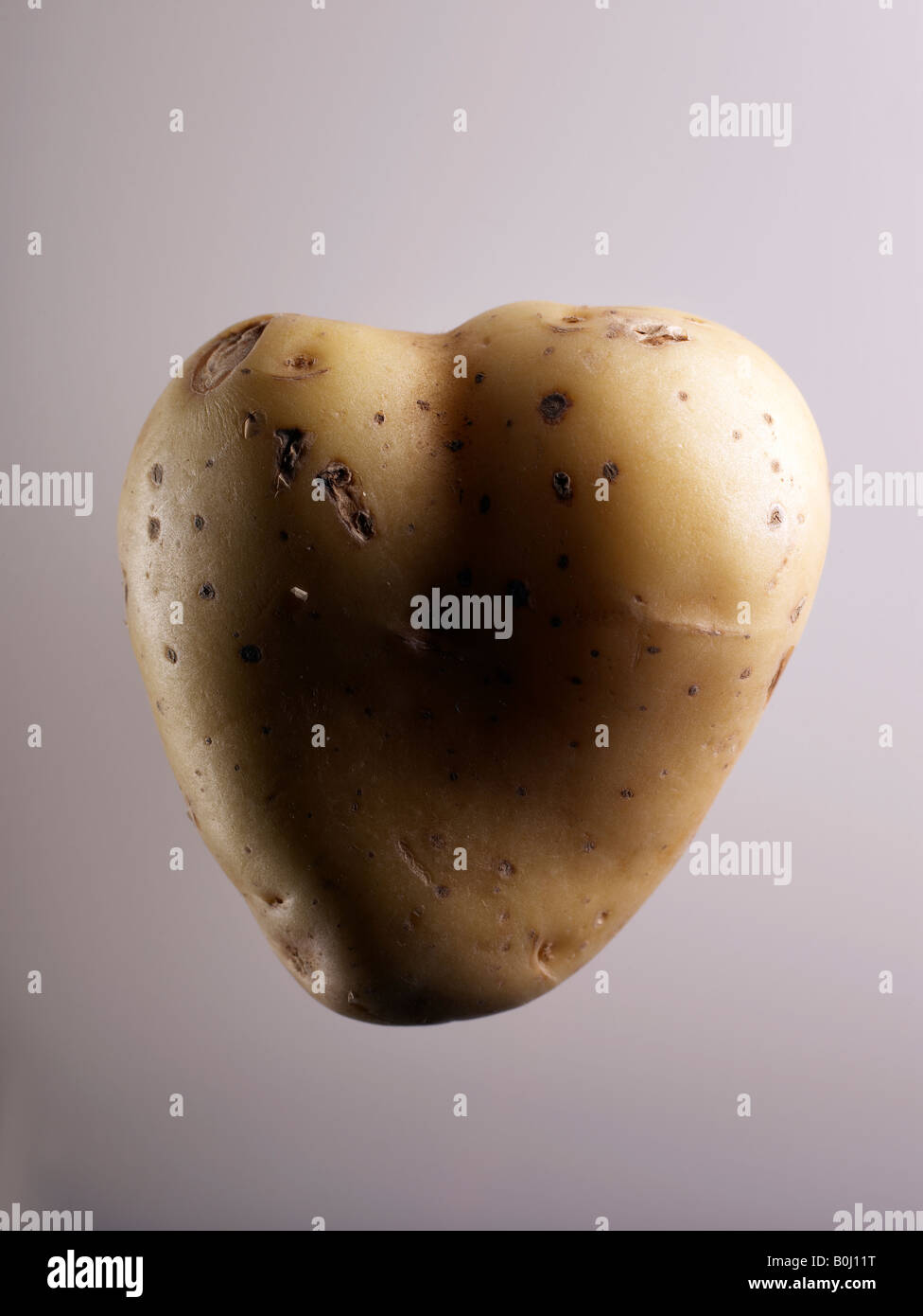Yam symbol hi-res stock photography and images - Alamy